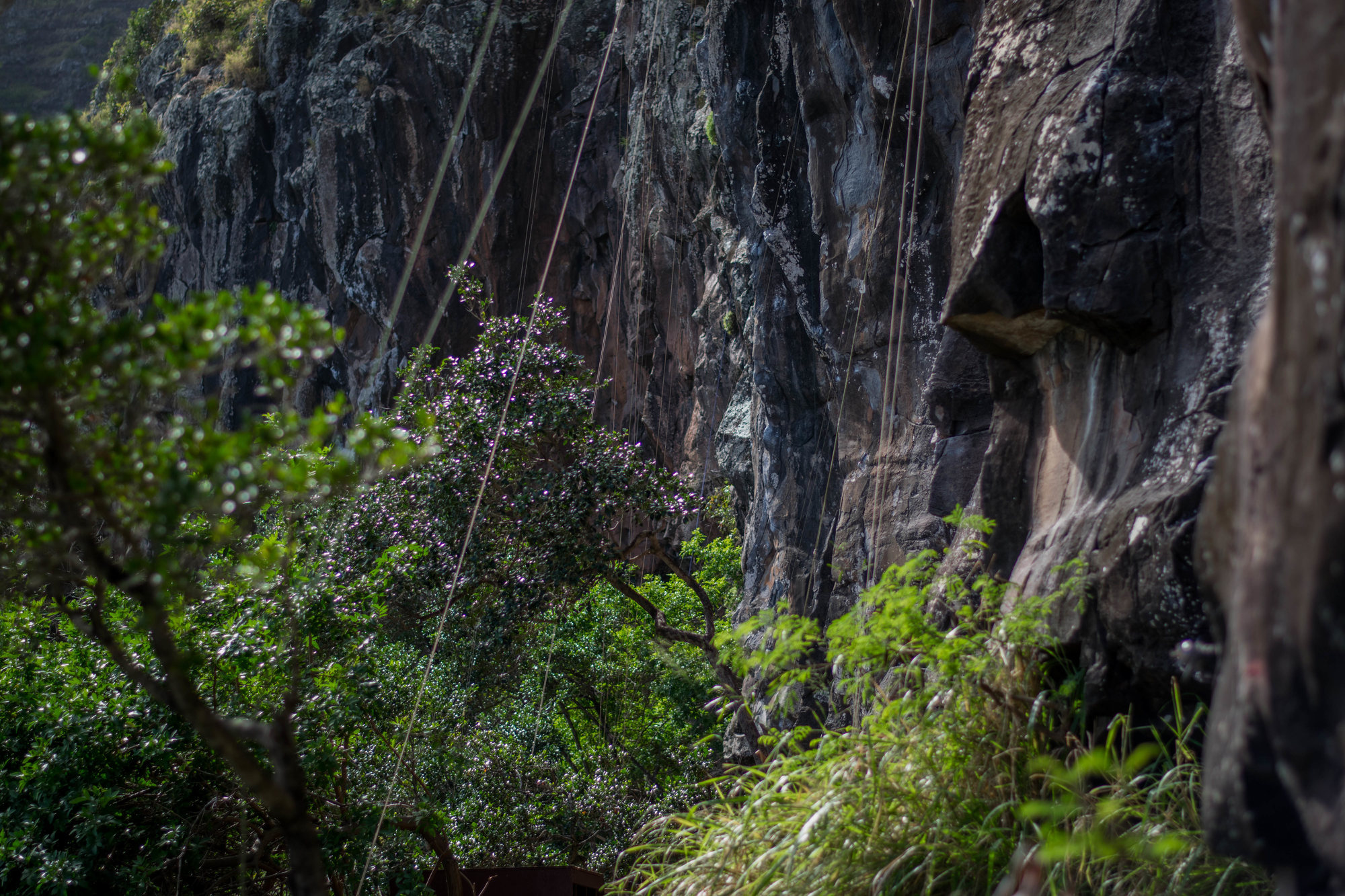 Rock Climbing Tours | Aloha Ascents - Hawaii Adventure Tours